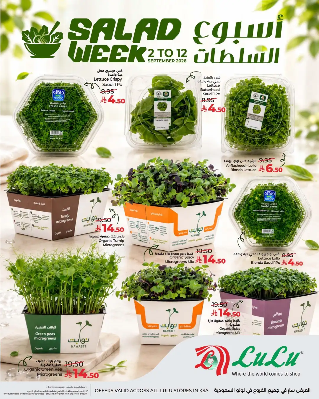 Salad Week Fresh Produce Deals Lulu Hypermarket Dhahran
